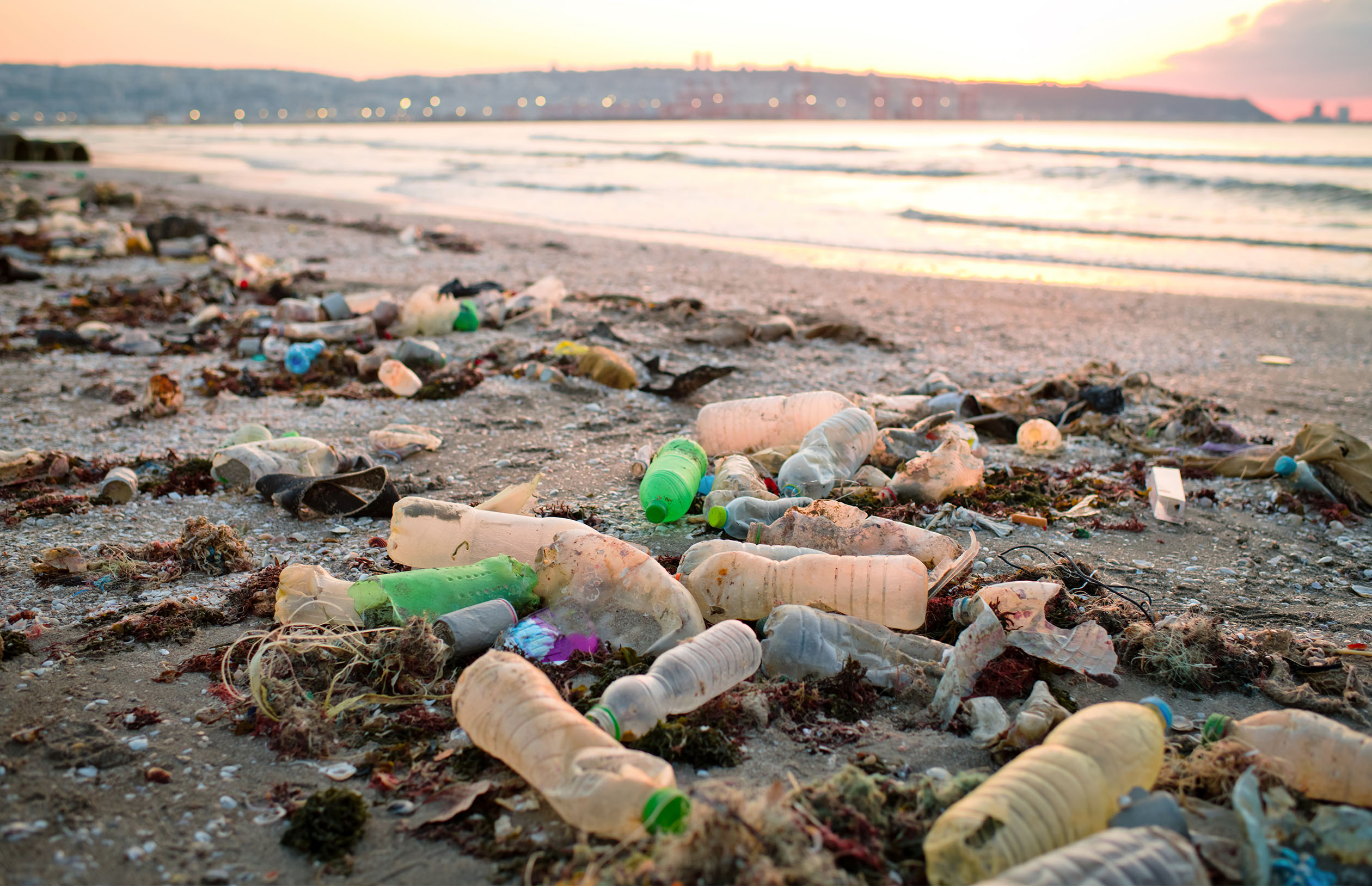 Bacterial Cellulose: A Scalable Bioplastic Alternative That Matches ...